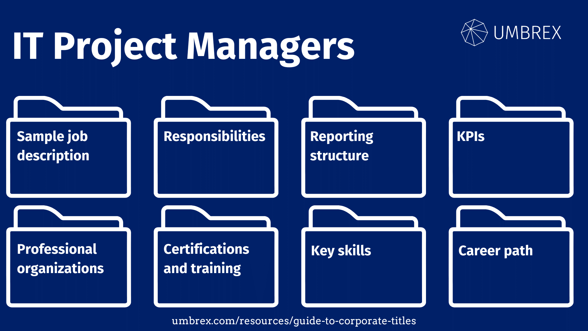 IT Project Managers | Umbrex