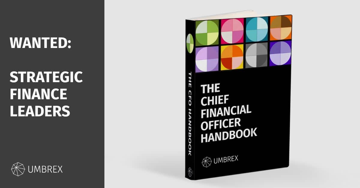 Chief Financial Officer Handbook | Umbrex
