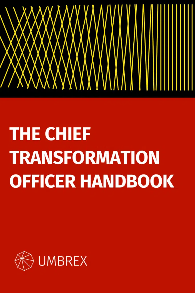 Enterprise PMO Leader | Umbrex