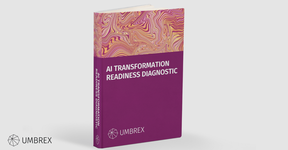 AI Transformation Readiness Diagnostic Roadmap | Umbrex