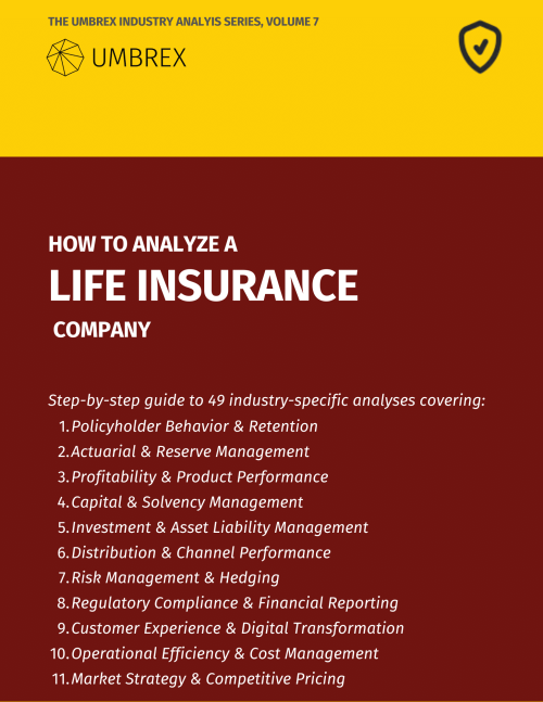 Risk-Based Capital and Solvency Ratio Assessment