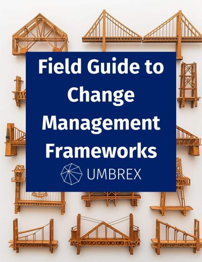 What is Lewin’s Change Management Model? | Umbrex